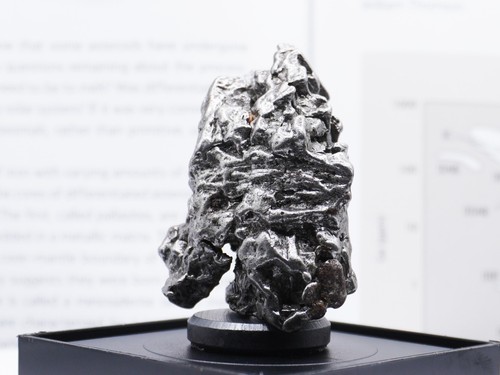 Genuine Meteorite in Display Box | Campo del Cielo Meteorite ...