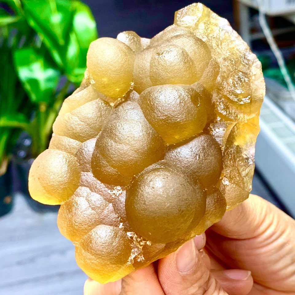 384G Natural transparent bubble shaped yellow flour cluster spiritual ...