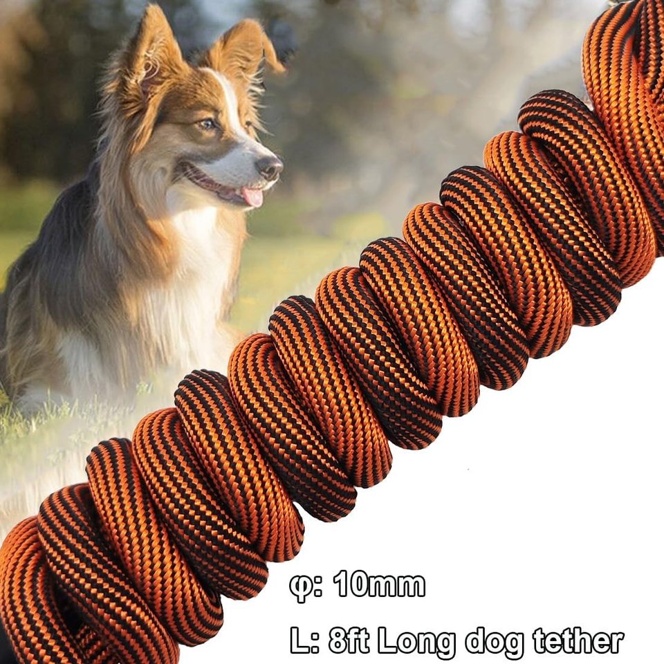 Dog Tie Out, Check Cord Long Tether Rope Leash, 8Ft 12Ft 20Ft 30Ft 50Ft ...