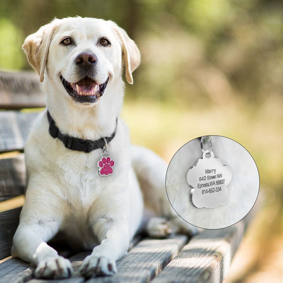 Glitter Paw Custom Dog Tags for Pets Engraved Pet Puppy Cat Name ID ...