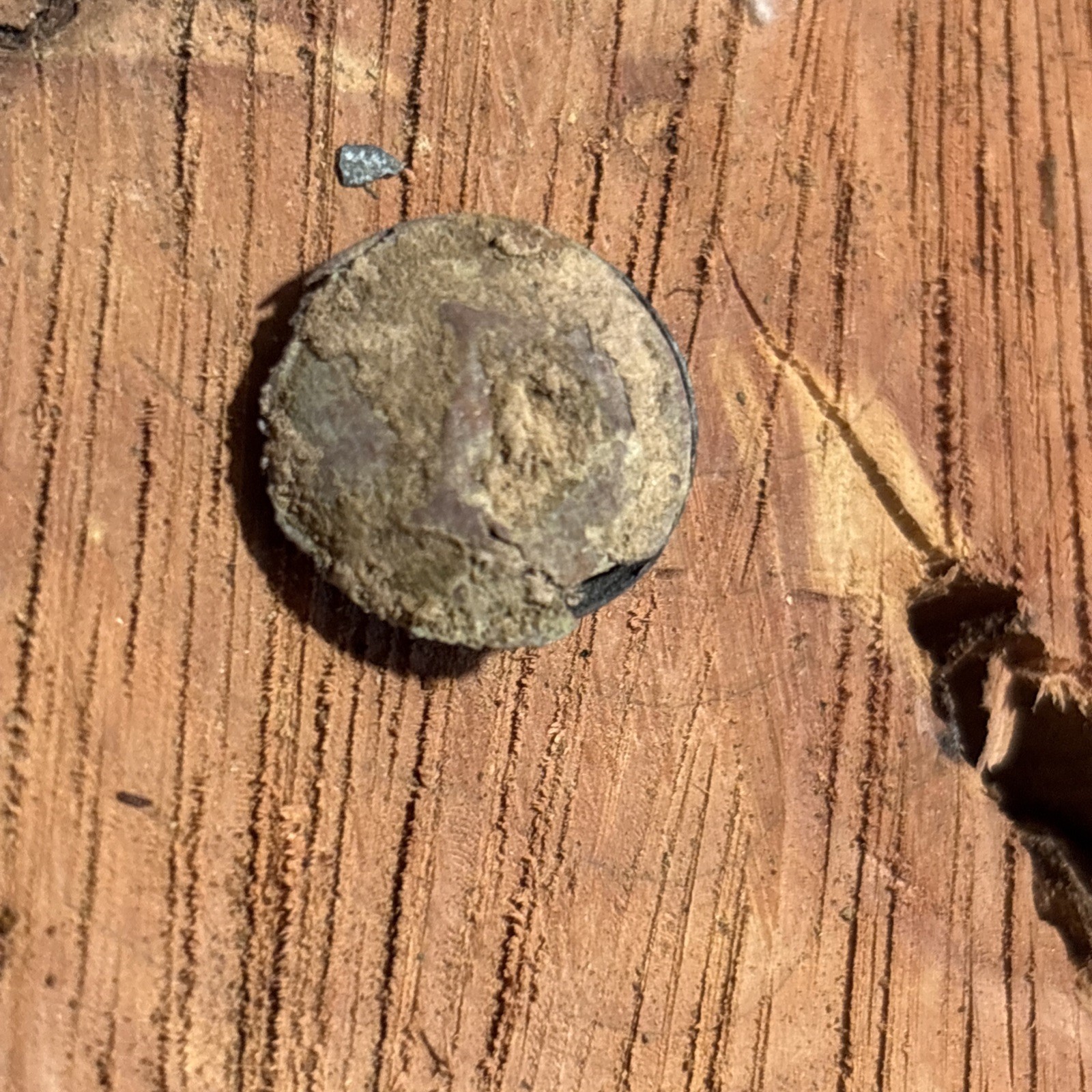 CIVIL WAR CONFEDERATE C.S.A. BLOCK I INFANTRY FULL SIZE COAT BUTTON DUG ...