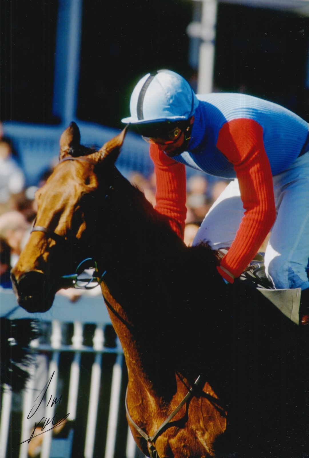 JIMMY FROST HAND SIGNED LITTLE POLVEIR 12X8 PHOTO GRAND NATIONAL HORSE ...