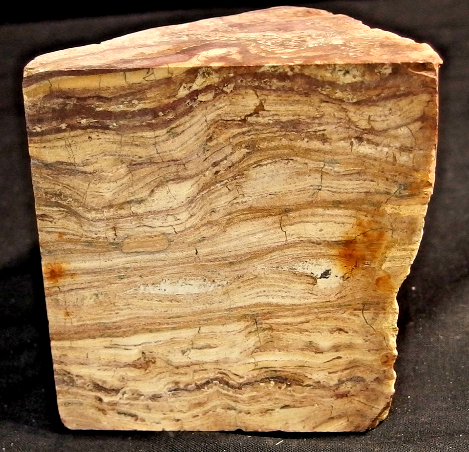 Quadruple Face Cut Biggs Banded Jasper 1lb 9oz Lapidary Material | eBay