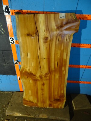 A2178 2 7/8" THICK tamarack larch Live Edge Slab shelf table KILN DRIED ...