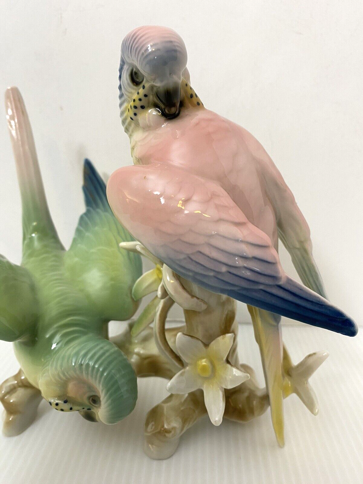 Wilhelm Rittirsch Dresden Porcelain Parakeet Parrot Bird Figurine Not ...