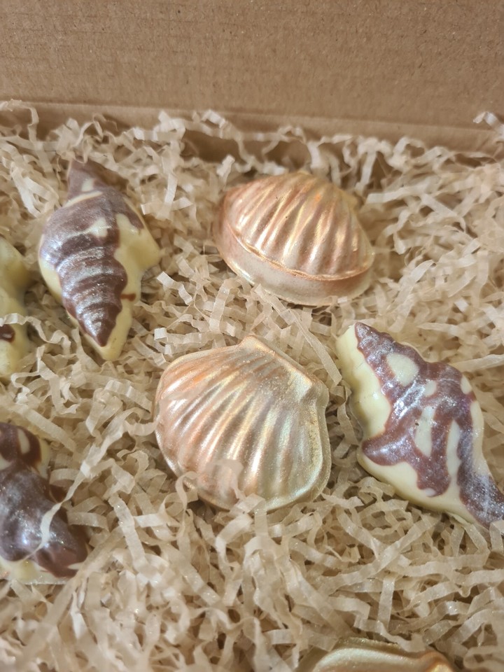 13 piece Handmade Belgian Chocolate Sea Shells gift set birthday or ...