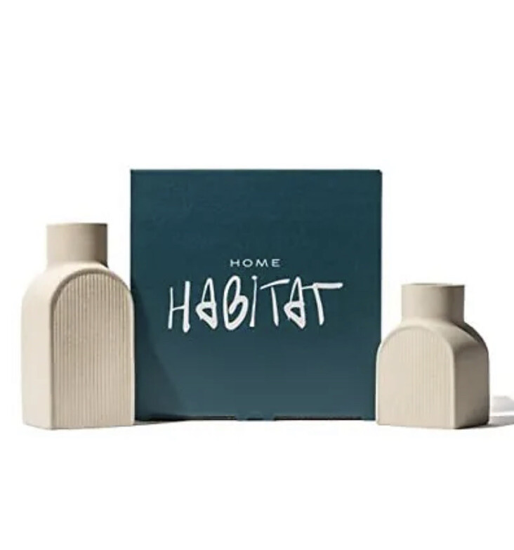 Home Habitat Nordic Ceramic Vases -2 Piece Set, Ribbed Vases Minimalist ...