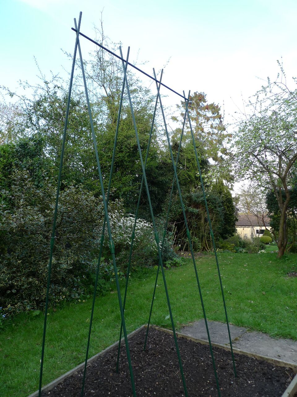 Pea and Bean Buddy Runner Bean Frame Climbing Plant Support 1.2m x 2.4m ...