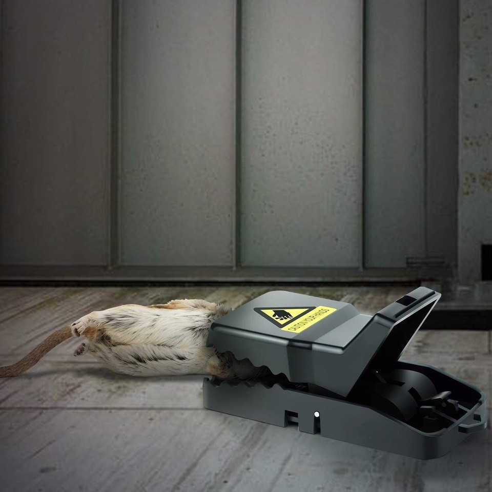 LARGE Mouse Traps Rat Mice Rodent Killer Snap Trap Reusable Heavy Duty ...