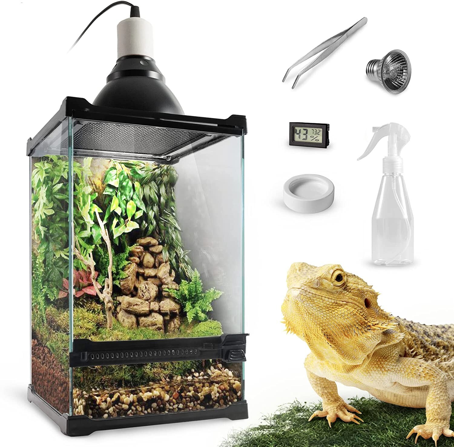 Reptile Tall Glass Terrarium Vertical Tank Starter Kit-8x8x12 | eBay