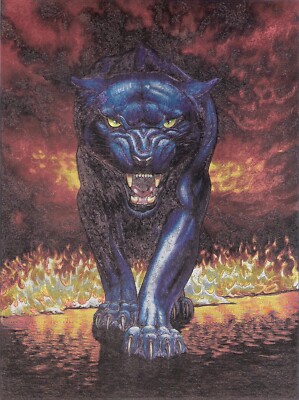 Vintage Dufex "FIRE PANTHER" Foil Art Picture Print 6x8 in 8x10 white ...