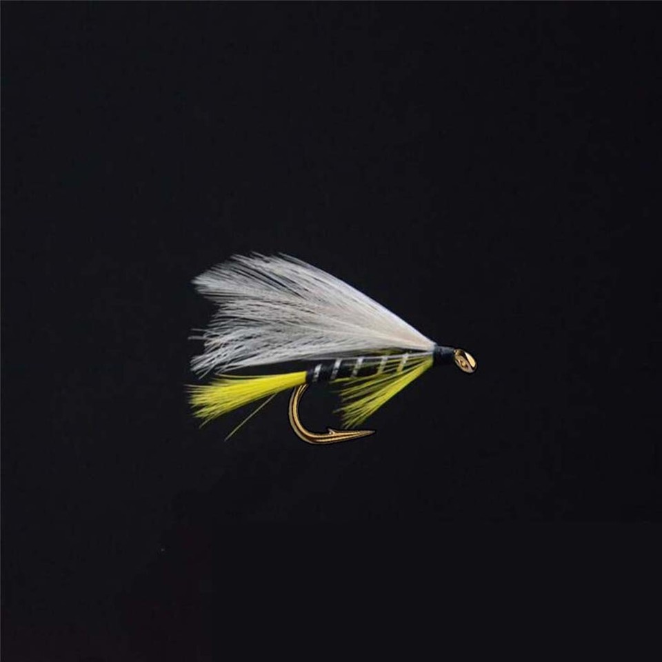 6/10Pcs Wooly Bugger Fly Fishing Flies for Trout Bass Salmon Streamer ...