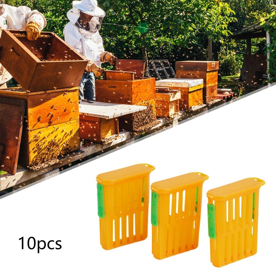10x Bee Transport Rearing Cages Yellow Queen Rearing Supplies Bee Queen ...