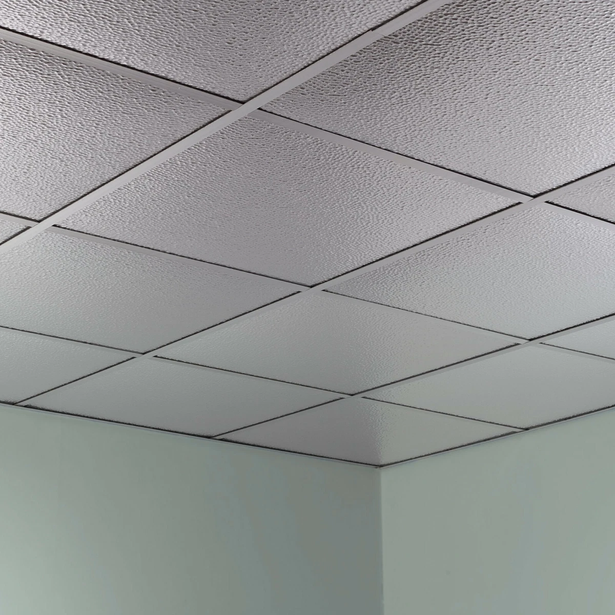 Fasade Ceiling Tiles Installation | Shelly Lighting