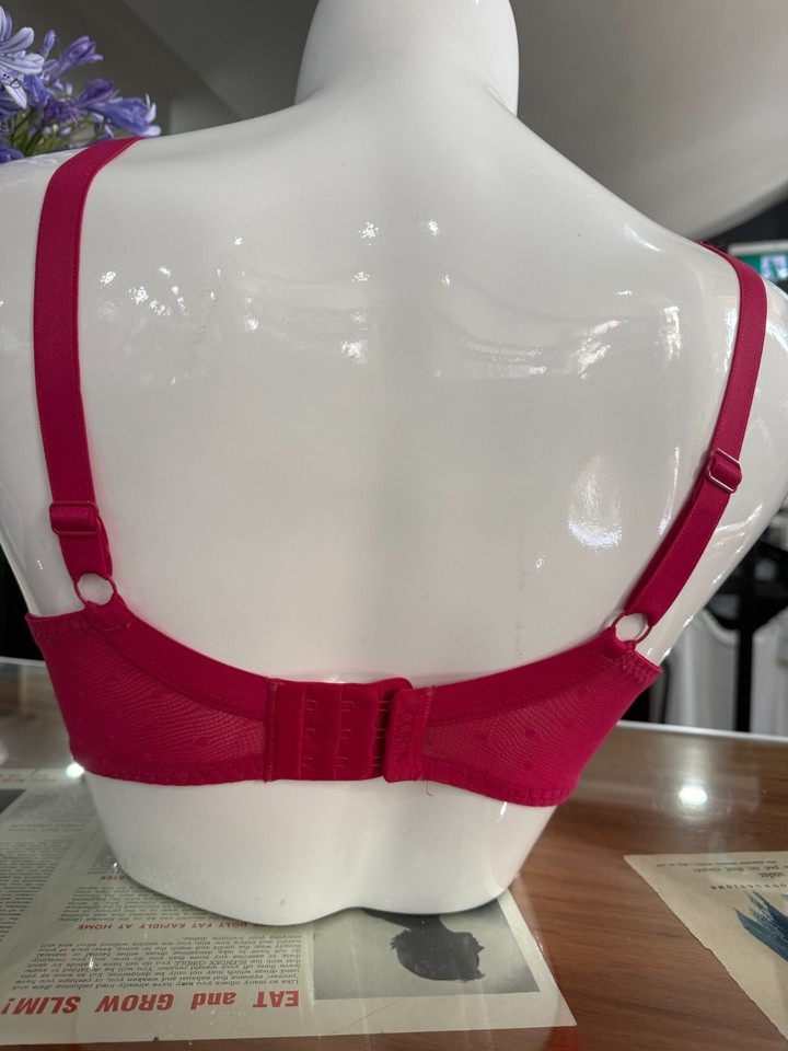 BRAND NEW Corin Twiggy bra lingerie Polish 12E | eBay Australia