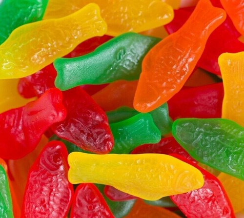 Assorted Fruit Flavored Gummi FISH Chewy Gummy Candy- BULK CANDY- ONE ...