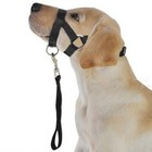 Collier De Tête De Dressage Pour Chien Licou Outil D'entraînement Pour ...
