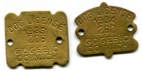 1933 & 1934 Gogebic County, MI Dog Licenses, Brass 32mm See Scan | eBay