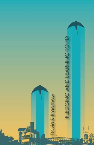 David Bradshaw Fledgling and Learning to Fly (Poche) 9781899999712 | eBay