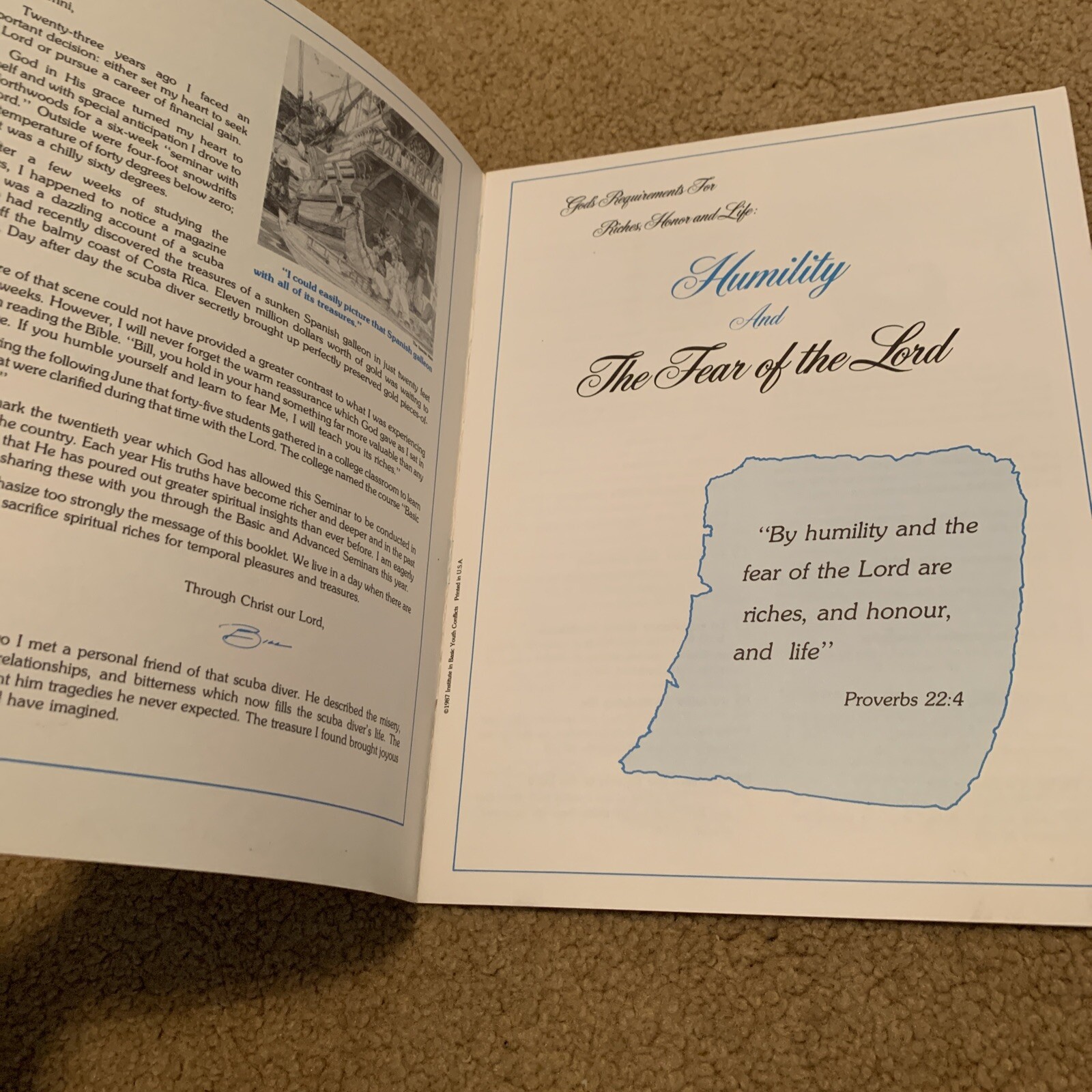 The Pineapple Story by Otto Koning and Institute in Basic Youth ...