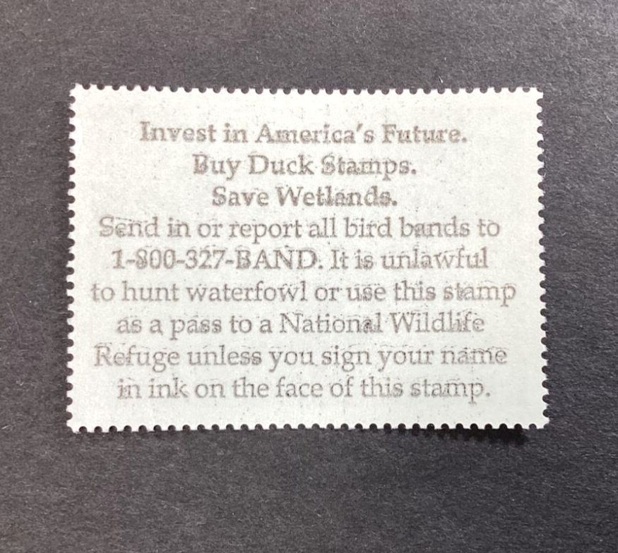 U.S. 2008 Federal Duck Stamp RW75 Northern Pintails $15 Mint Never ...