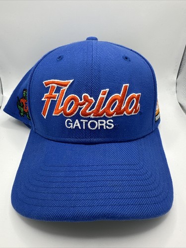 Nike Team Sports Florida Gators Script Hat Cap OSFA Adult | eBay