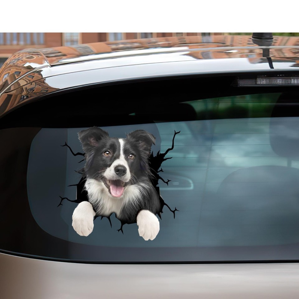 Border Collie Face Sticker Border Collie Gifts Border Collie Decal ...