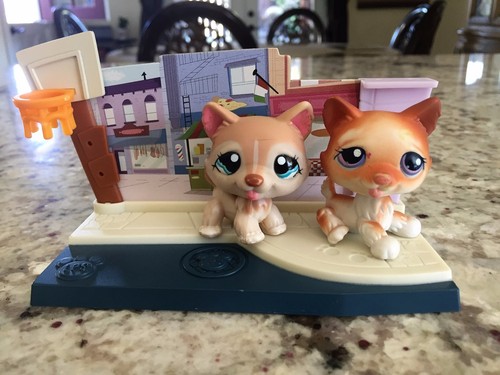 LPS Littlest Pet Shop #37 WHITE BROWN HUSKY & #1012 TAN HUSKY w ...