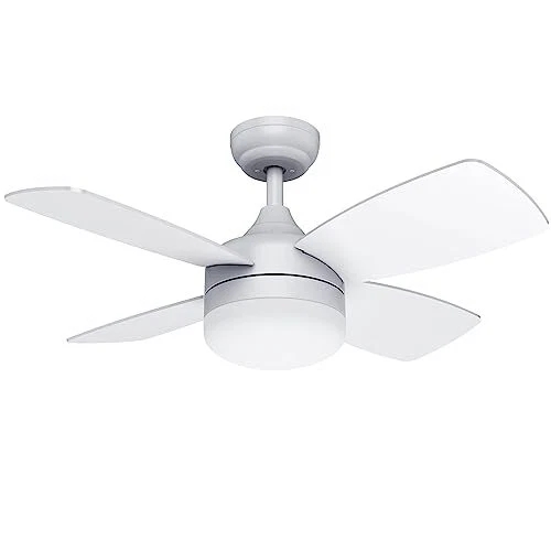 36 Inch Ceiling Fan Without Lights | Shelly Lighting