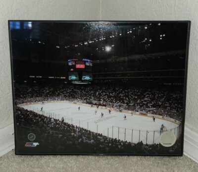 Arizona Coyotes NHL 8"x10" Framed Photo Jobing.com Arena Opening Night ...