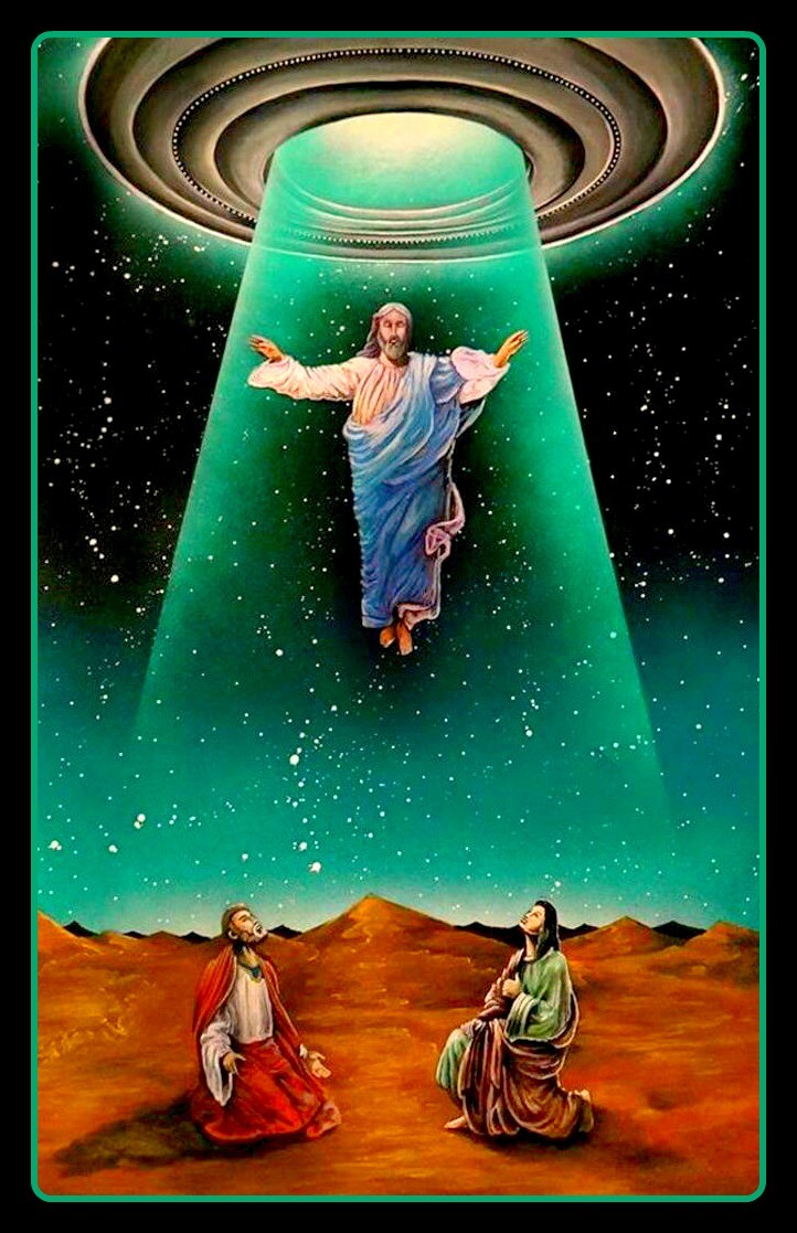 Here's the Cruise Ship Captain who witnessed a "Giant Black Jellyfish ...