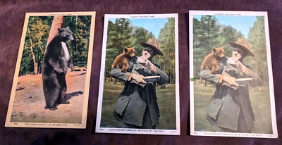 (3) VIntage Postcards Yosemite - Chief Ranger Townsley - Camp Curry | eBay