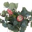 Rogue Protea Eucalyptus Pod Mic-Rosario Pot Pink/White 40x40x28cm | eBay