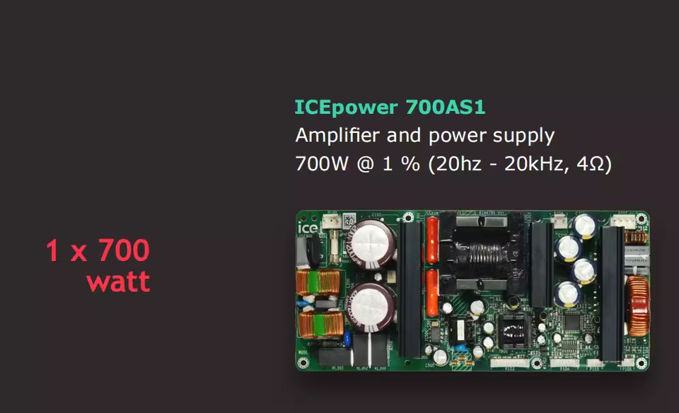 For ICEPOWER 700AS1 Power Amplifier Hifi Amp Board 700W Denmark Audio ...