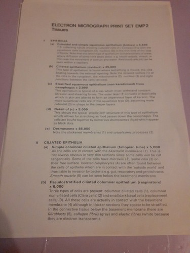 Philip Harris Biological Ltd Electron Micrograph Print Set Tissues ...