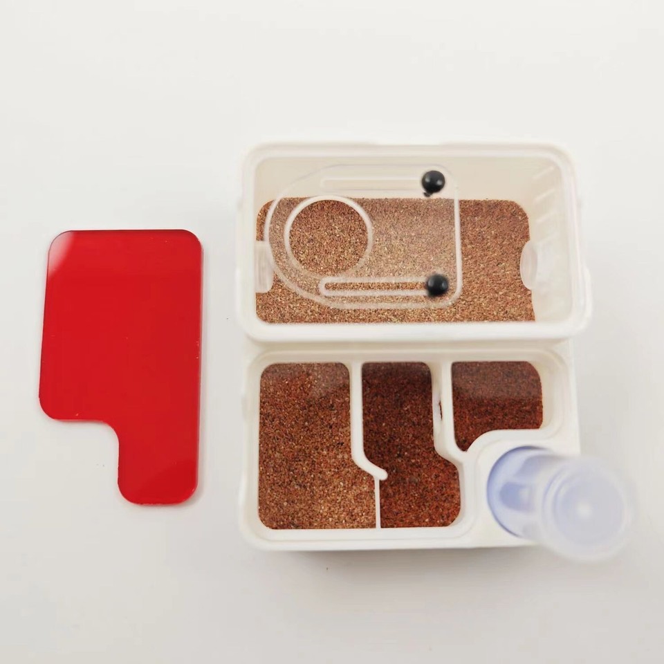 3D Acrylic Ant Farm Housing Ant Nests Formicarium Pet Ants Box | eBay