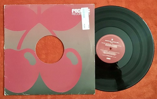 RICHARD GREY "WARPED BASS" 12" Single ORIGINAL & MARIO OCHOA REMIXES - PR002 | eBay