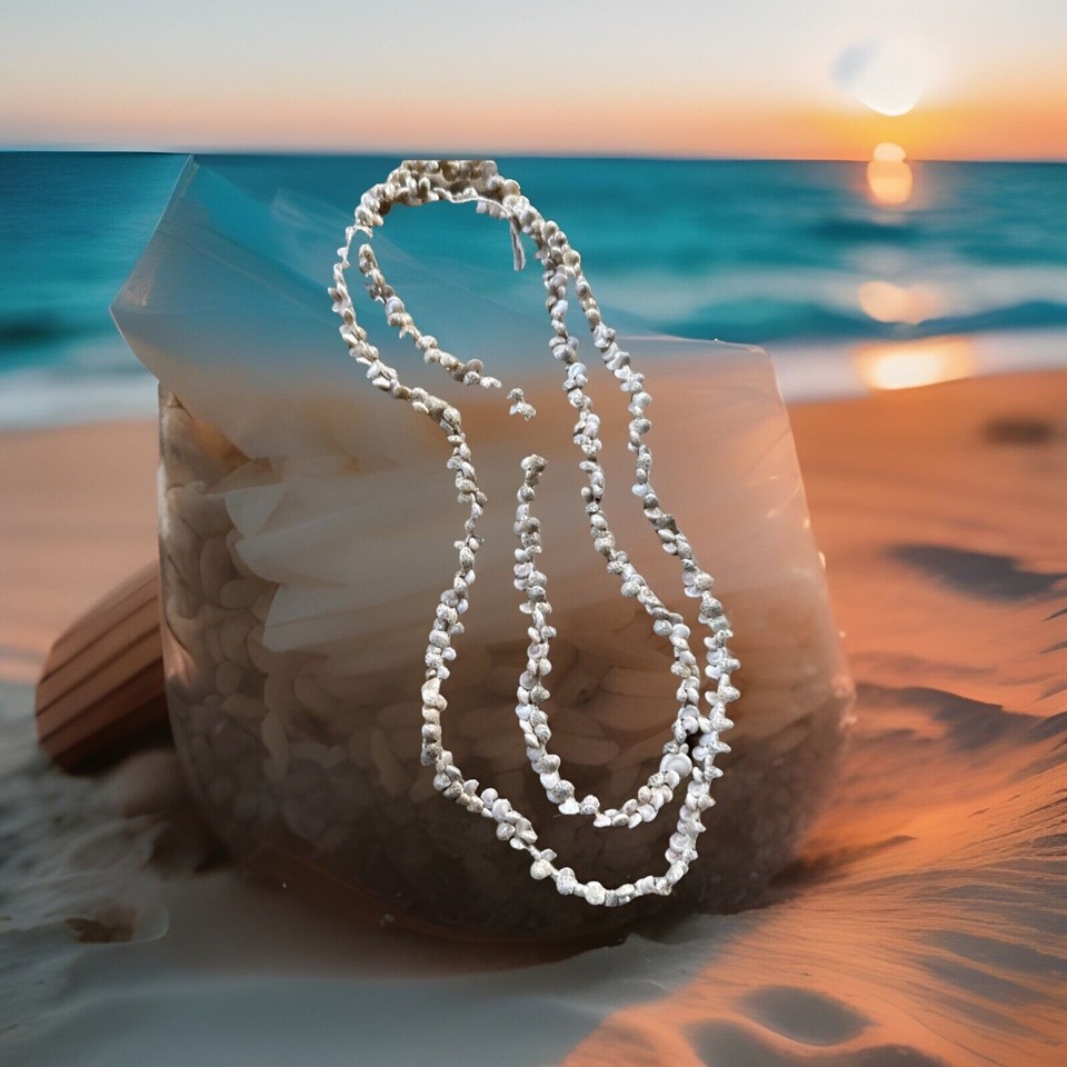 Vintage Iridescent Tiny Seashell Trochus Shell Beaded Necklace 48” | eBay