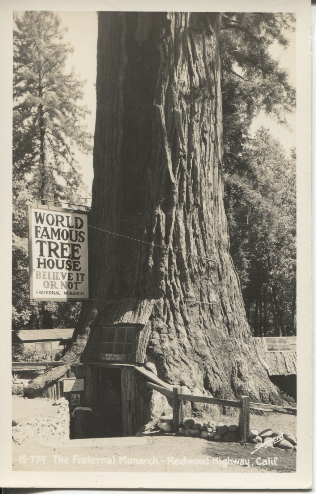 Real Photo Postcard RPPC World Famous Tree House Redwood Highway ...