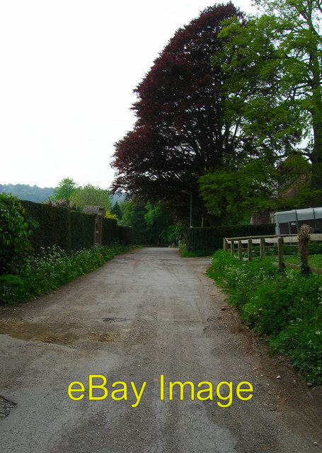 Photo 6x4 Church Lane South Malling Lewes The church is behind the tree ...