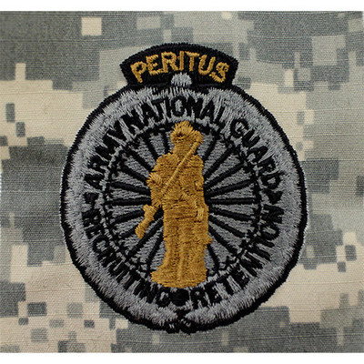 US ARMY NATIONAL GUARD EXPERT RECRUITING RETENTION ACU SEW ON BADGE ...