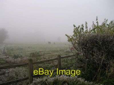 Photo 6x4 Barham Hall Horse (name unknown) and Pony (Paris). Linton ...