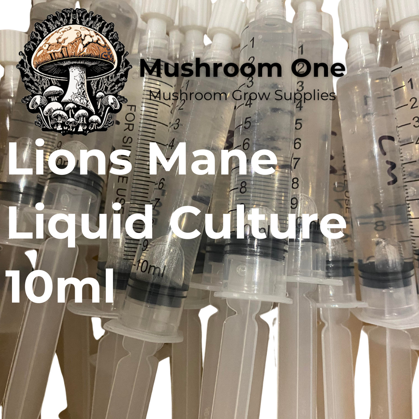 Lions Mane Liquid Culture - quality mycelium | Grelly UK