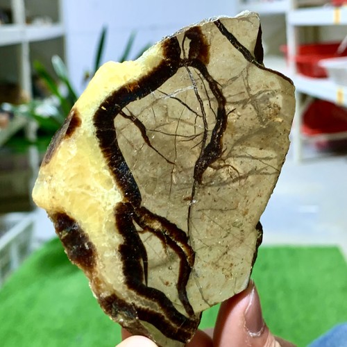 100G Natural beautiful Septarian Slice raw stone Quartz Crystal Healing ...