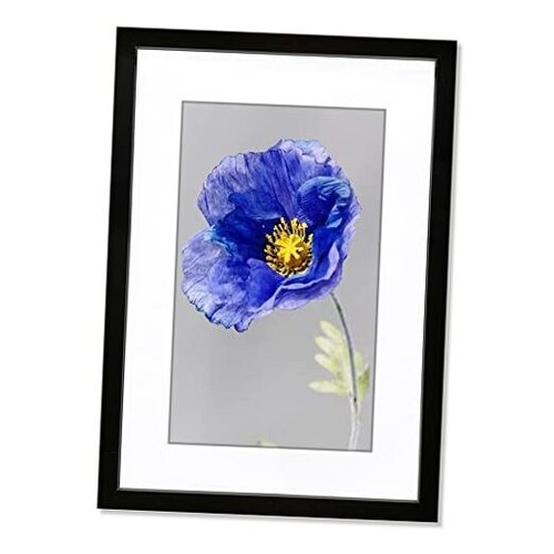 Frame Perfect for Inch Picture without Mat or 14x20 Inch Picture 16x24 ...