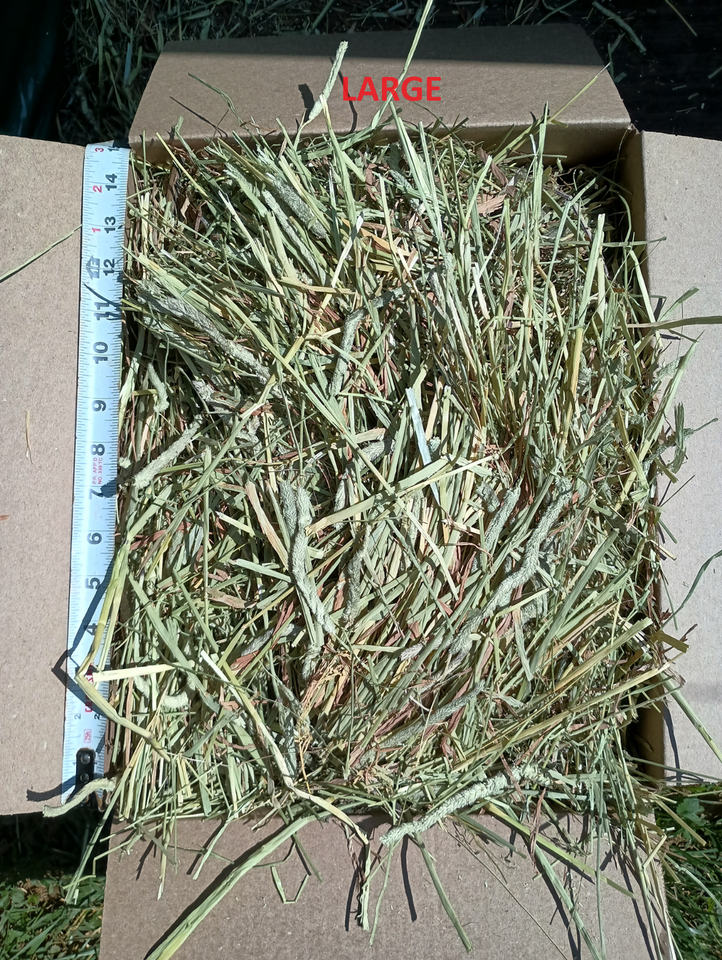 Orchard Grass Hay – For Rabbits, Guinea Pigs & Small Animals (Many ...