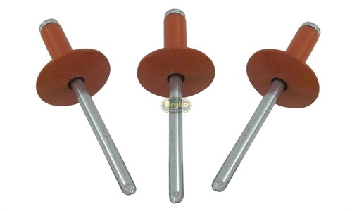Large Head Orange Rivets Pop Rivet 50ct 3/16" Racing Fasteners IMCA ...