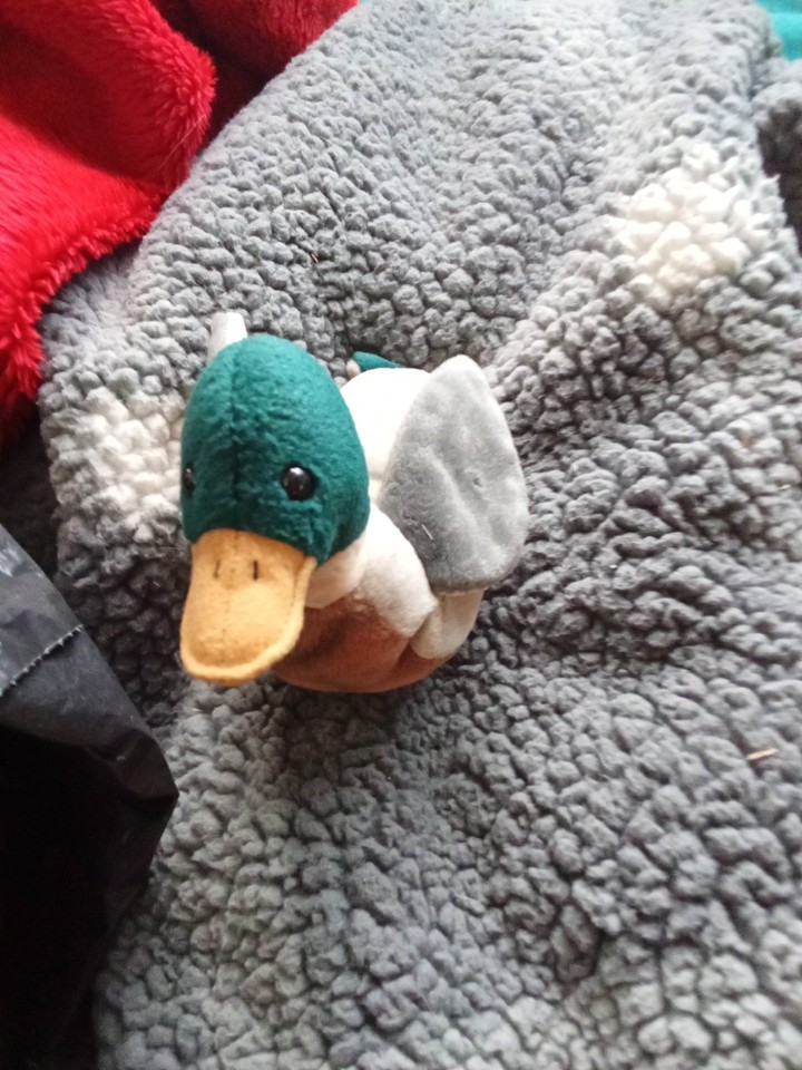 Ty Mini Duck Stuffed Animal Plush Green Yellow Gray Brown White Toy | eBay