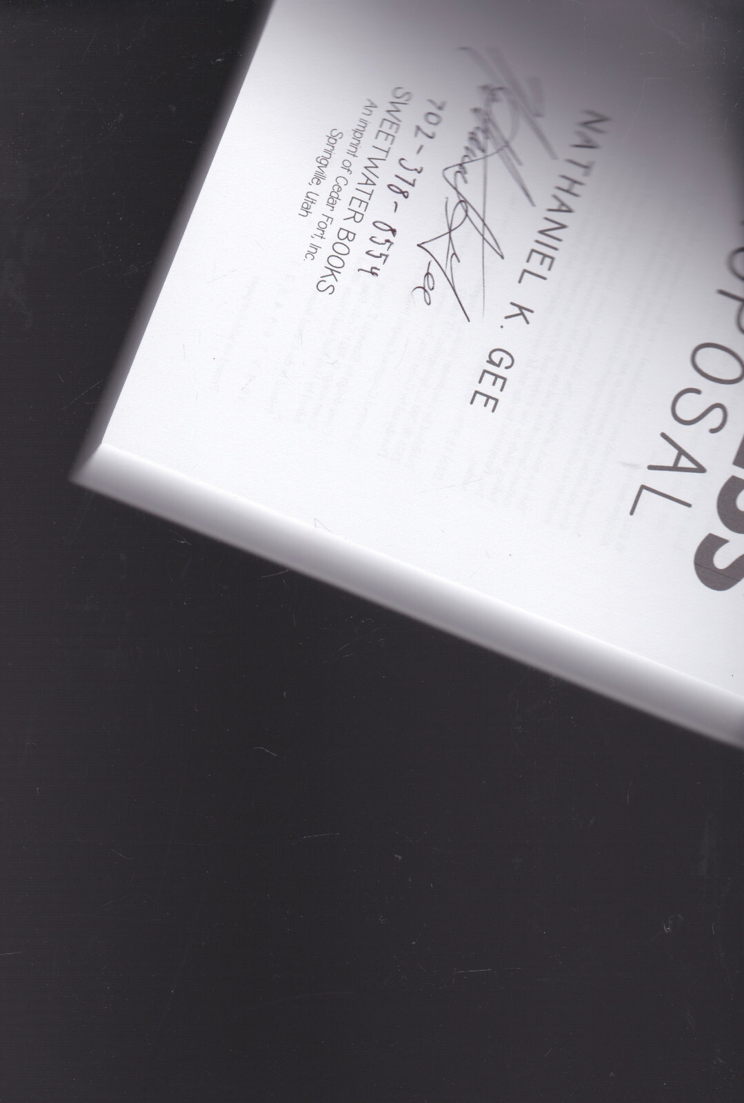 Business Proposal by Nathaniel K. Gee (2021, Trade Paperback) for sale ...