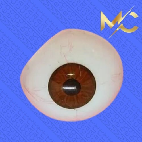 Prosthetic Eye (Left & Right) Antique Human Acrylic Artificial Eye ...